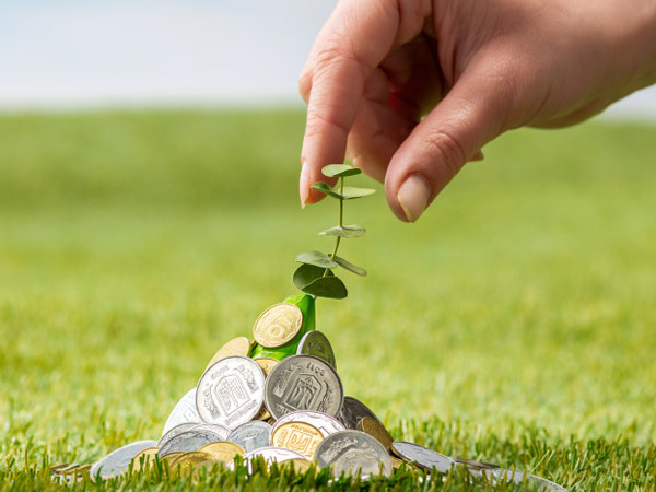 Welcome To BBN Nidhi Limited